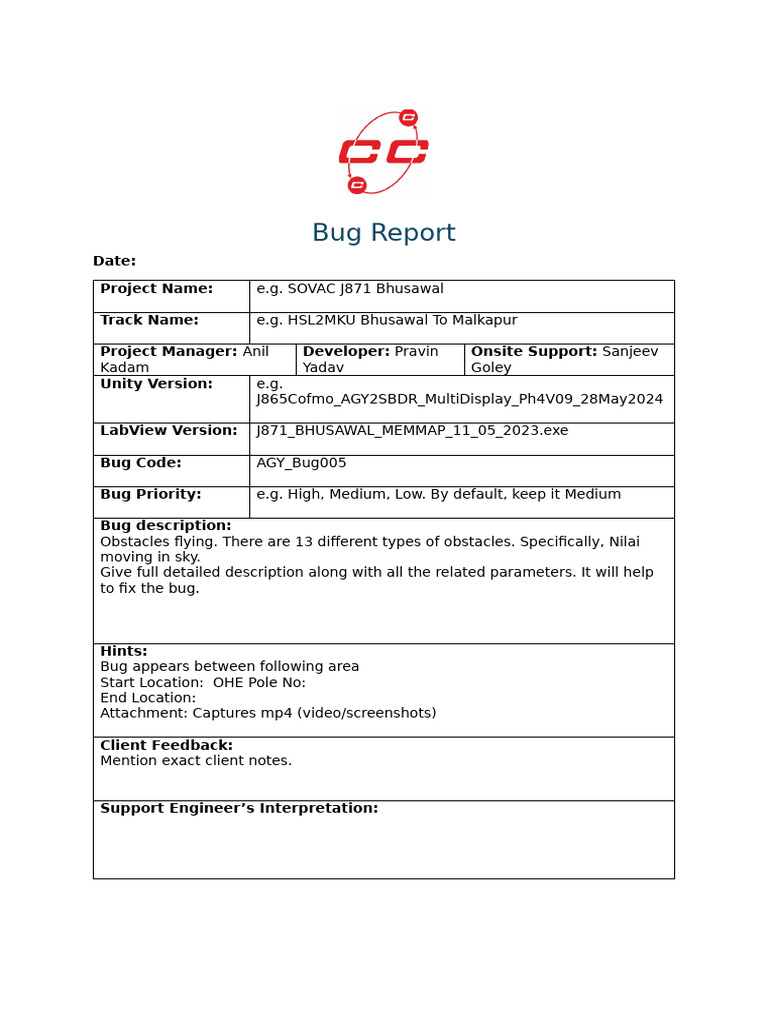 Bug Report Format | PDF