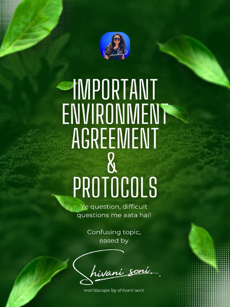 Imp Environment Agreements & Protocols by Shivani Soni | PDF