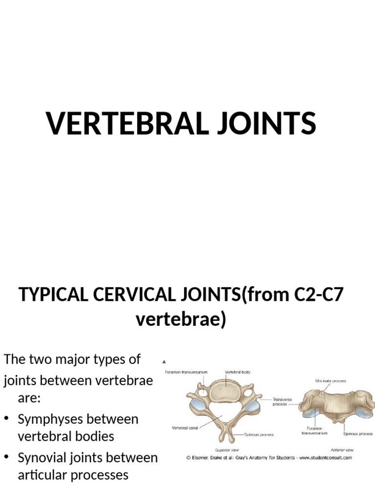 Cervical Joints | PDF | Vertebra | Joints