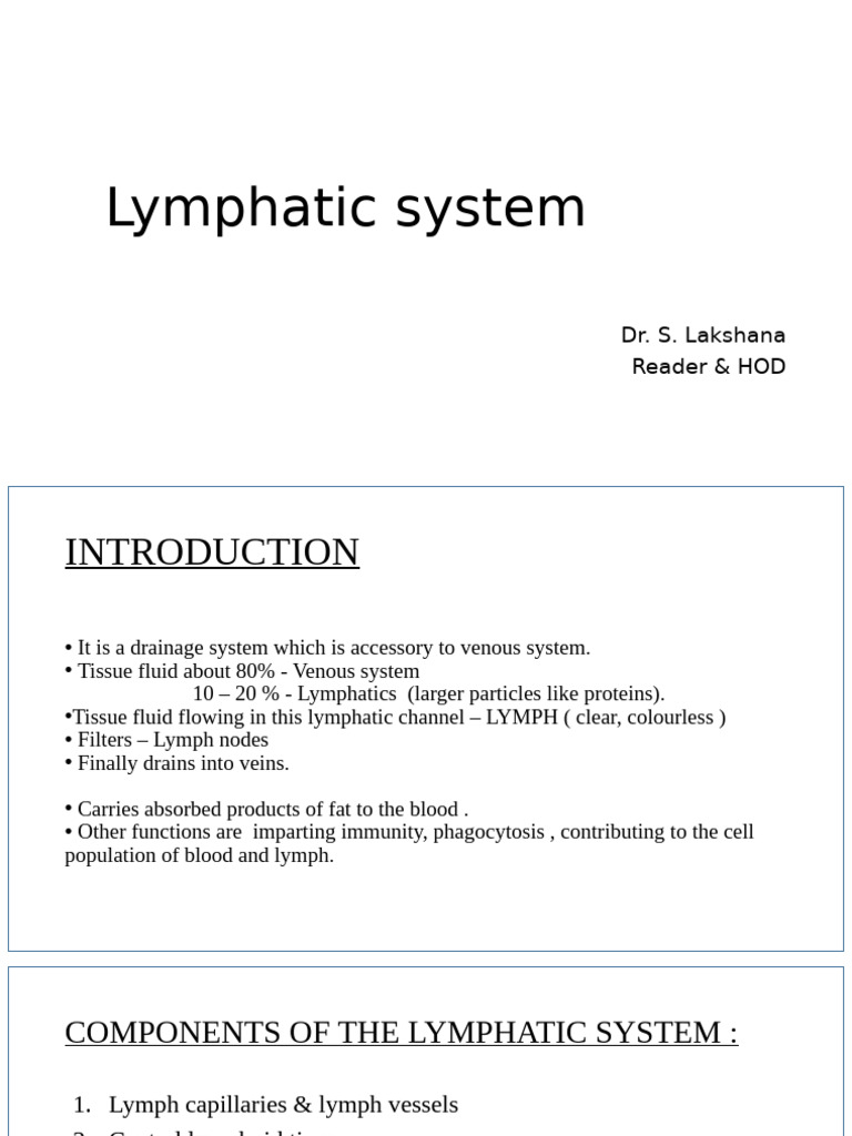 Histology of Lymphoid Tissue | PDF | Lymph Node | Lymphatic System