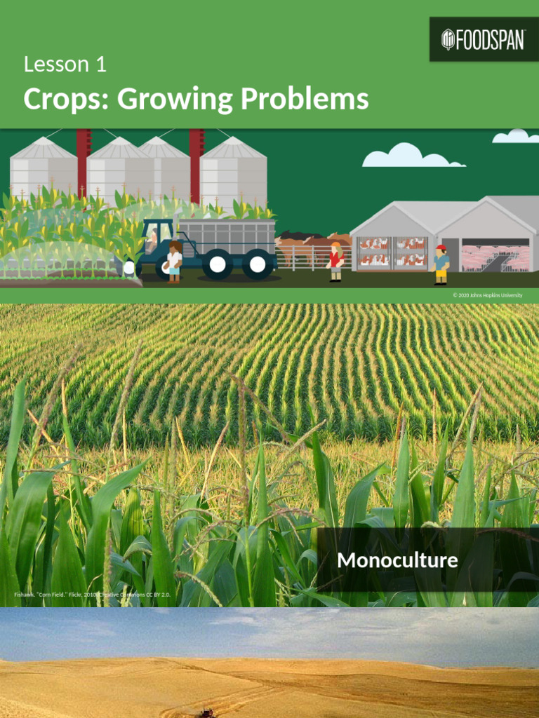 Lesson1 Crops Slides 0 | PDF