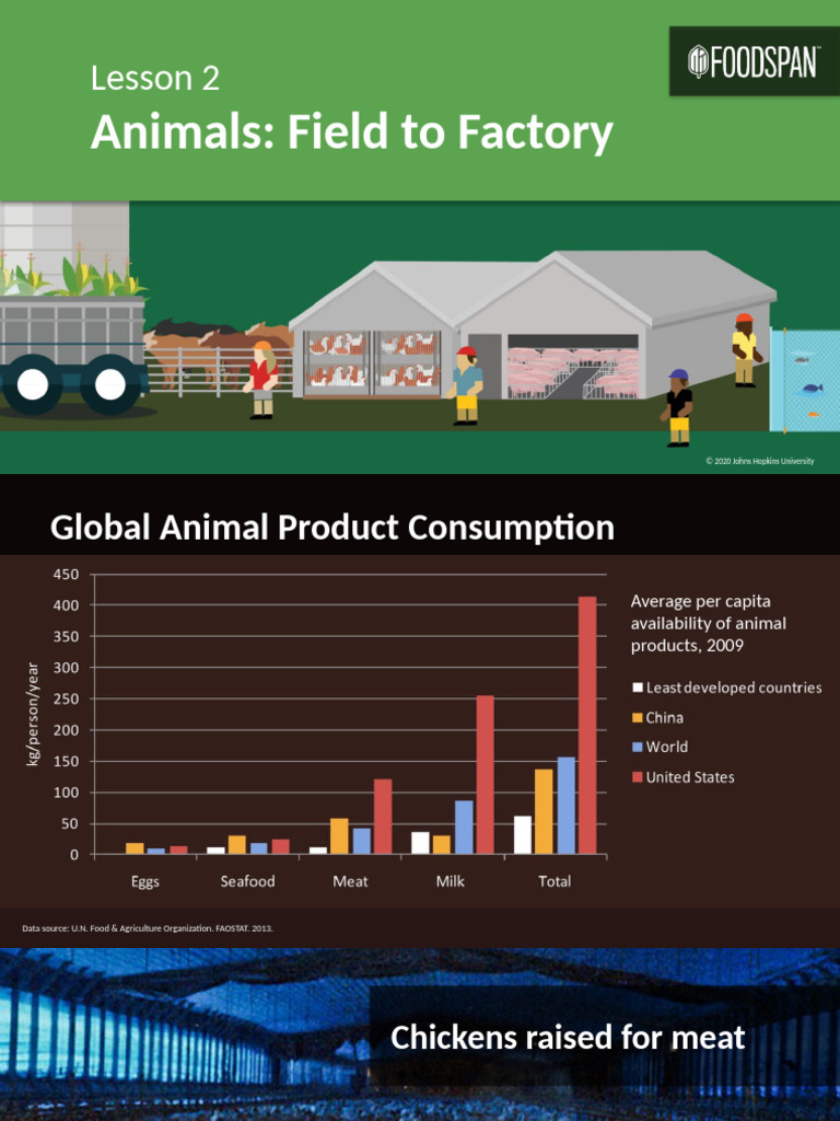 Animal Product Consumption Trends | PDF