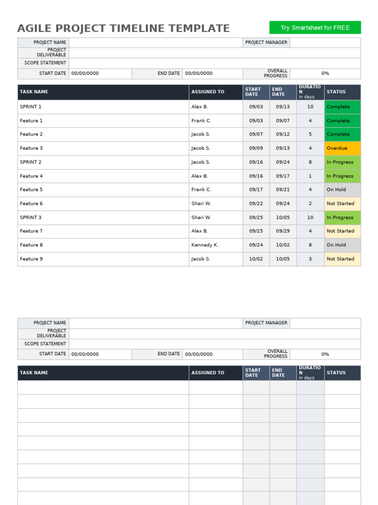 IC Agile Project Timeline 11344 WORD | PDF