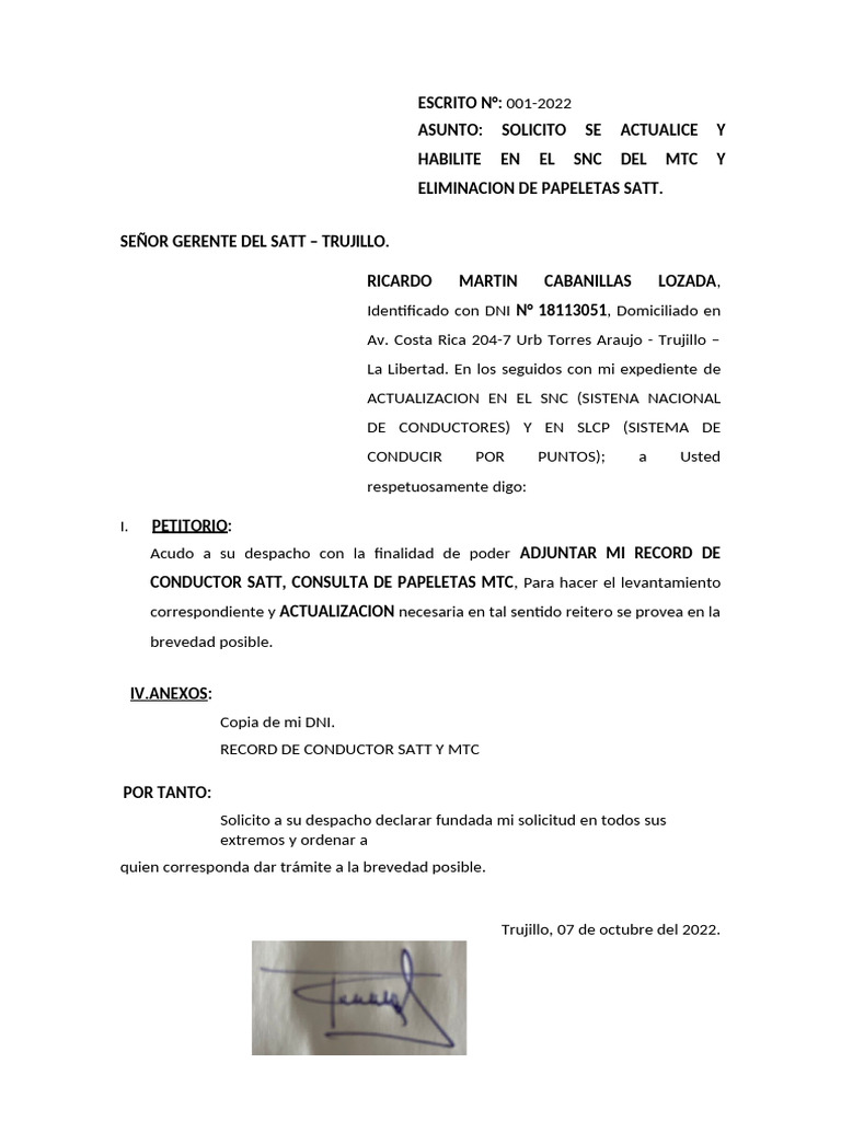 Actualizacion Satt | PDF