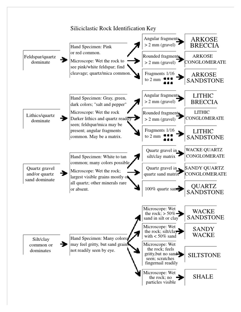 Siliciclastic Rock Identification Guide | PDF
