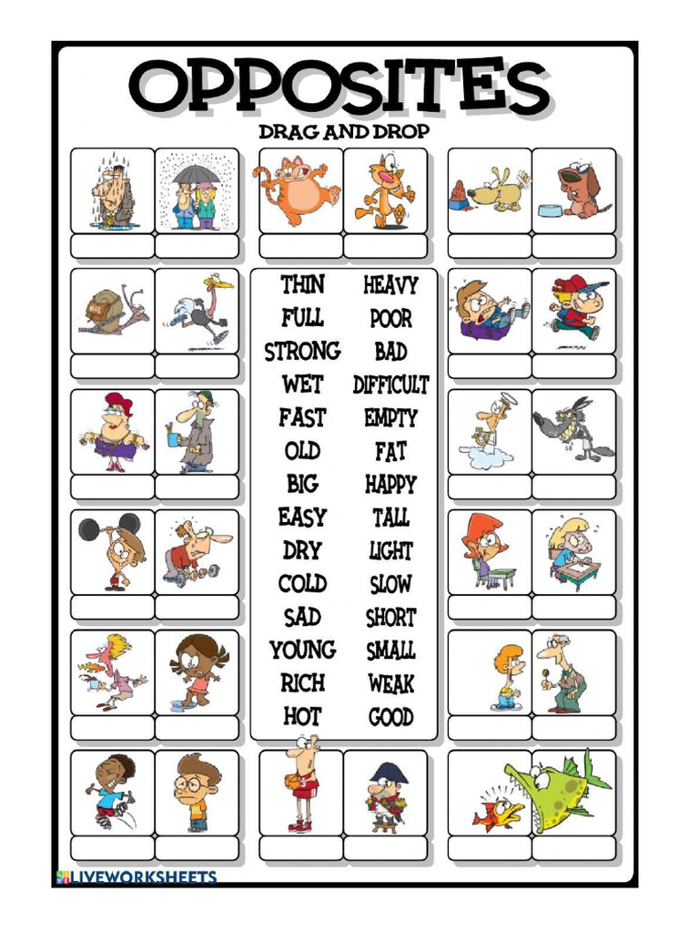 Adjectives and Opposites | PDF