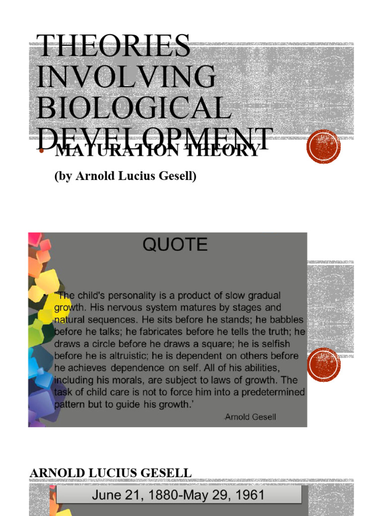 Maturation Theory | PDF