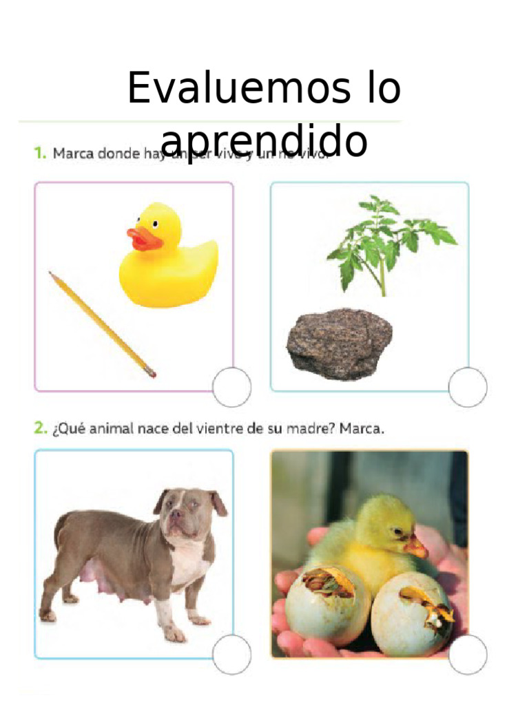 Evaluemos Lo Aprendido | PDF