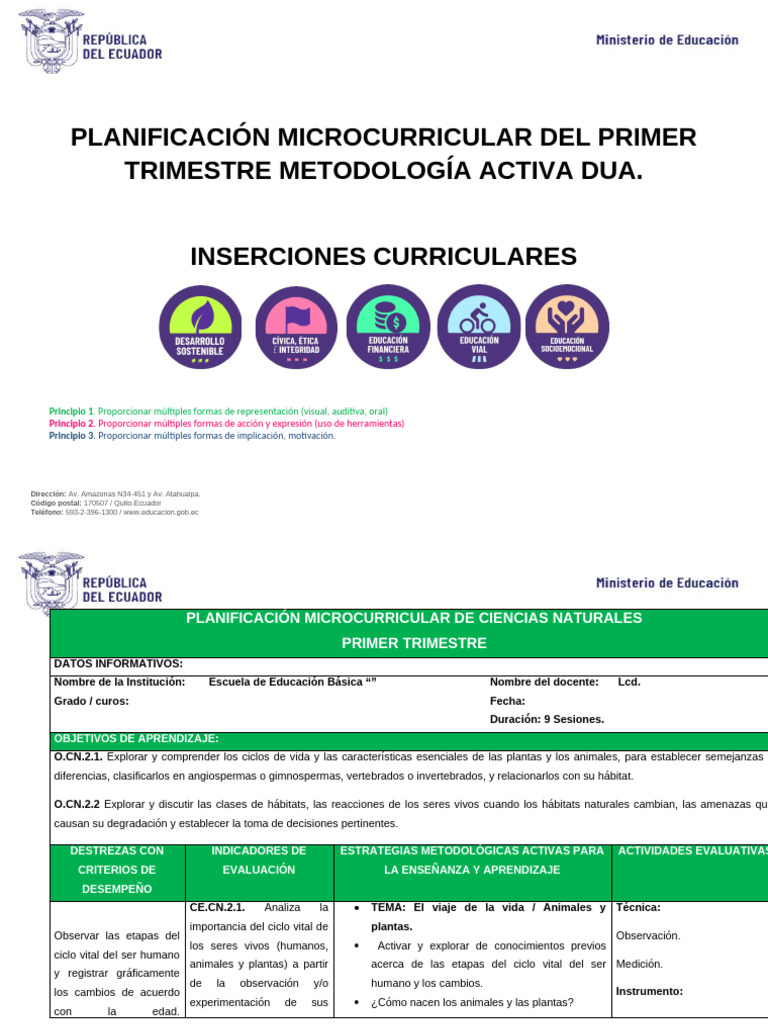 2do - CCNN - 1er - Trimestre | PDF | Flores | Polinización