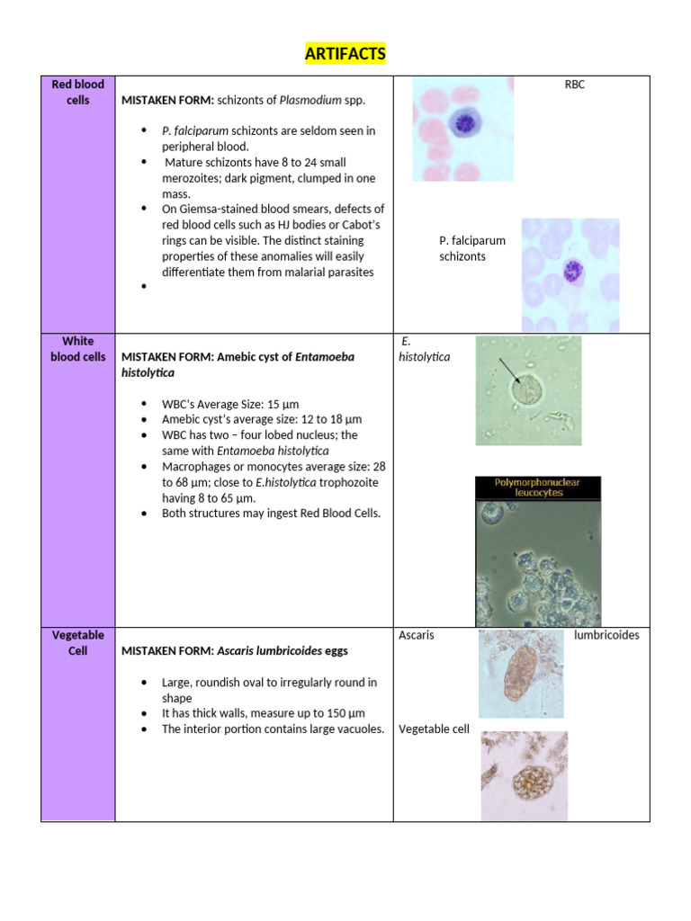 Artifacts and Prepared Slides | PDF | Microbiology | Parasitology