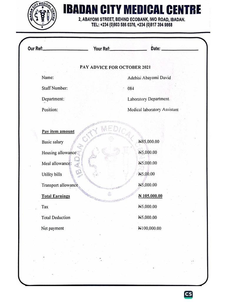 Payslip 1 | PDF