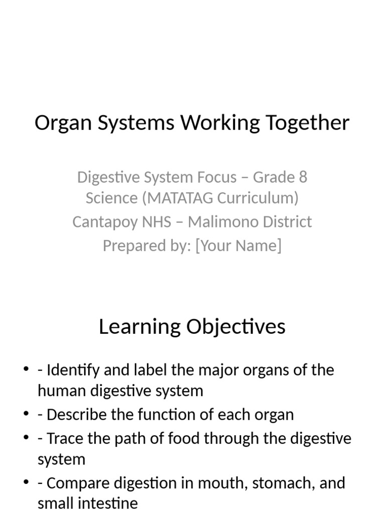 Grade 8 Digestive System Overview Pdf