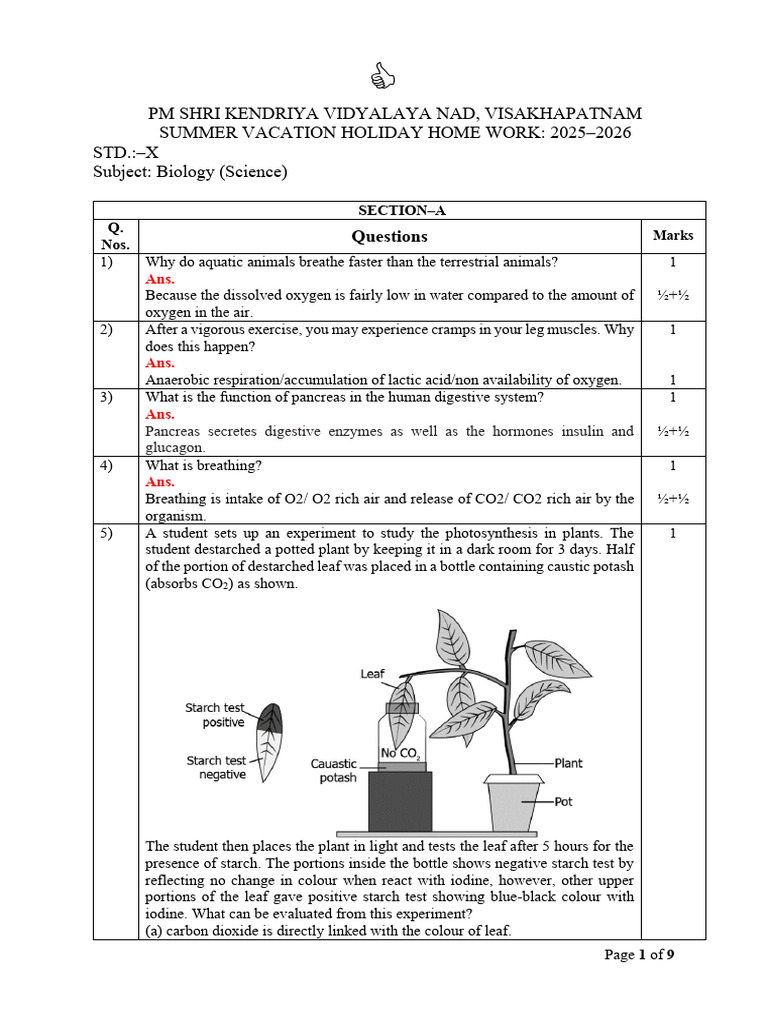 X Biology Summer HHW 2025-2026 Year 003 MS | PDF | Digestion | Respiratory System