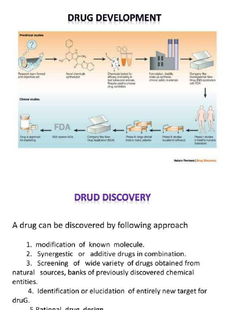 De Novo Drug Design | PDF
