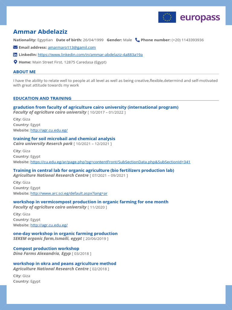 CV - Ammar Abdelaziz | PDF