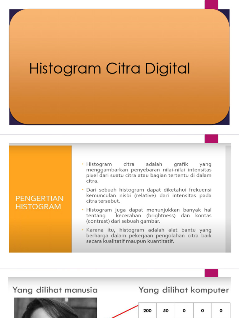 Histogram Citra Digital | PDF
