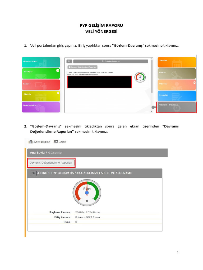 Pyp Gelisim Raporu Veli Yonergesi | PDF