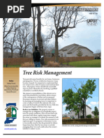 Hazard Tree Assessment Training Guide | PDF | Wood | Trees