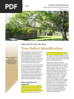 ISABasicTreeRiskAssessmentForm Instructions | PDF | Wood | Trees