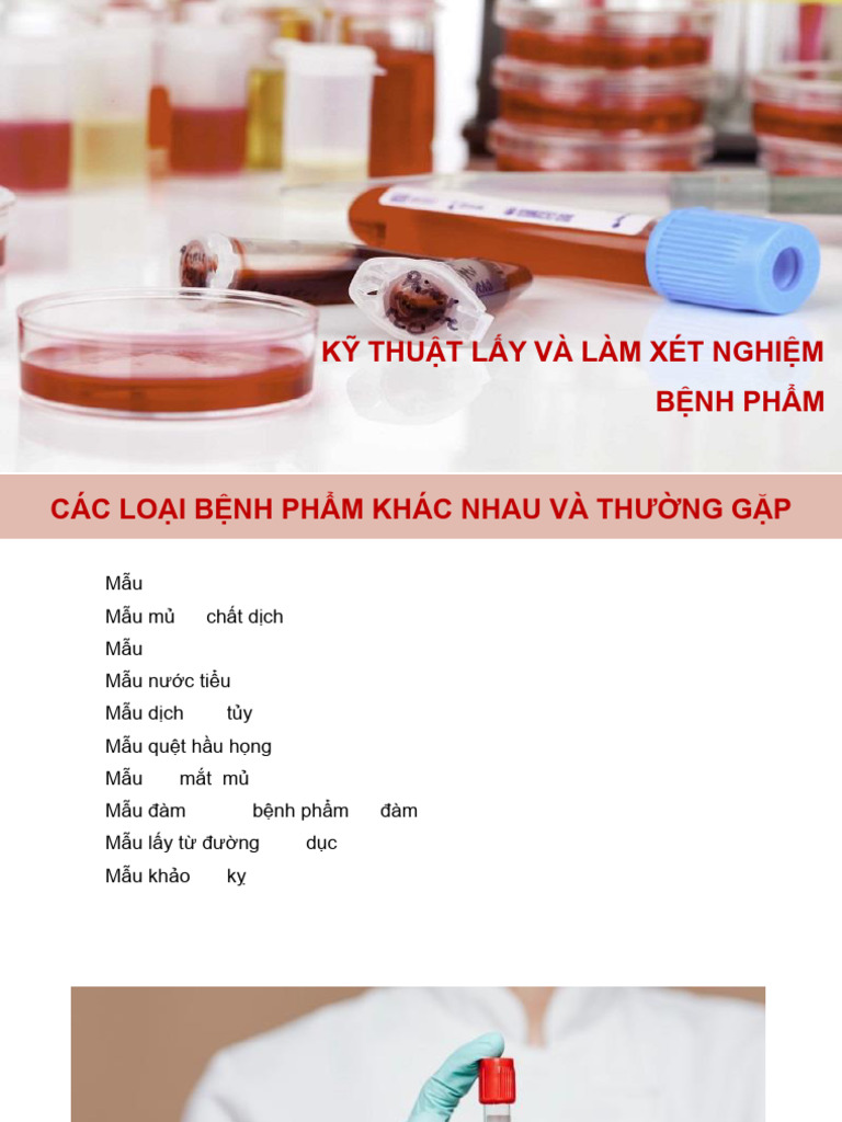 Quy Trinh Phan Lap Vã Dinh Danh Mot So Mau Benh Pham | PDF