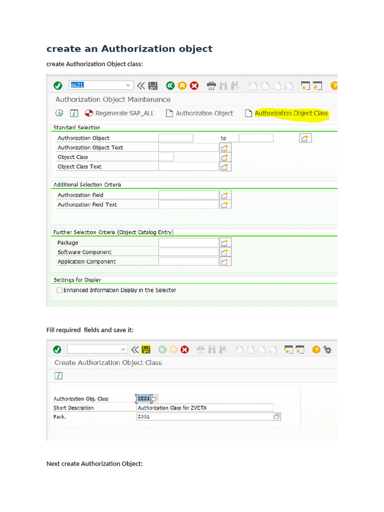 Create An Authorization Object SU21 | PDF