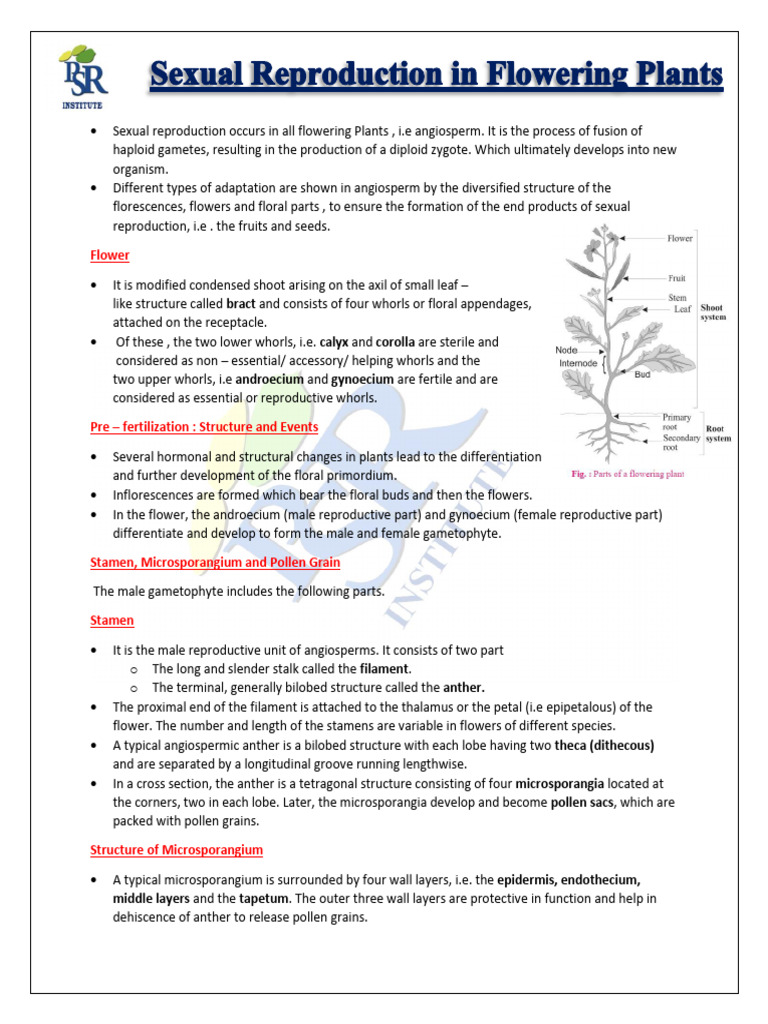 Angiosperm Flower Structure and Reproduction | PDF | Flowers | Pollination