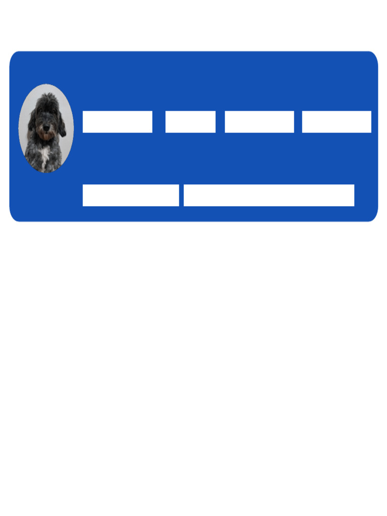 Cartão de Saúde Meg | PDF