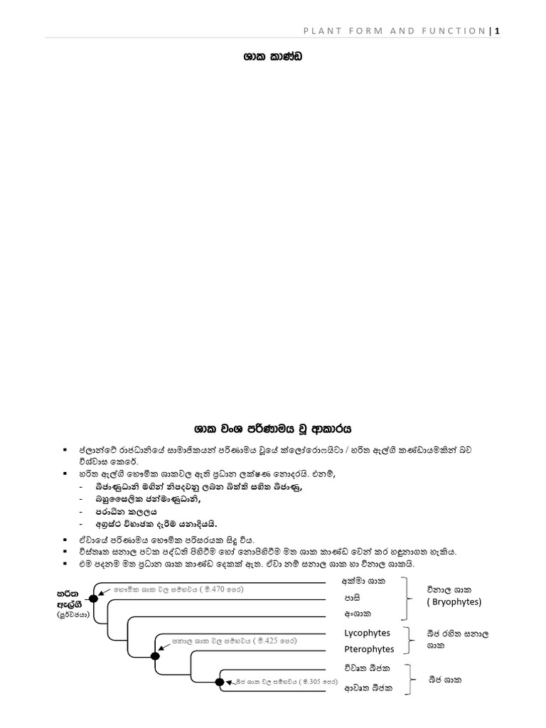 Unit - 04 Tute 681dd3064c626 30 Removed | PDF