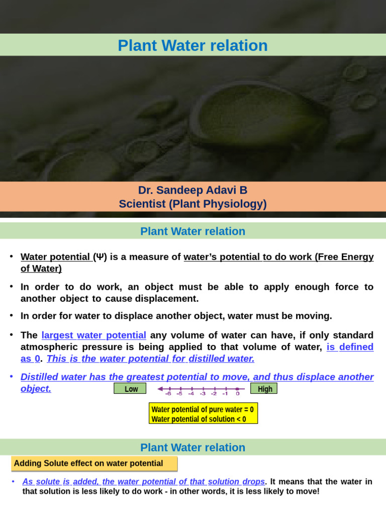 3.1 Plant Water Relation 1 | PDF | Stoma | Root