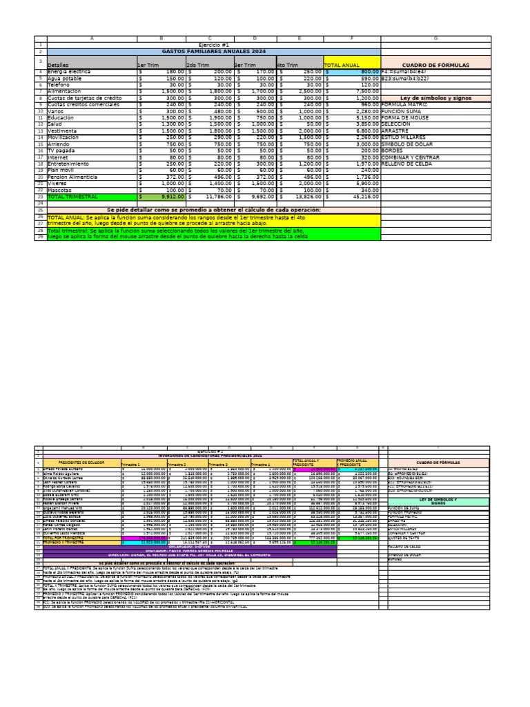 Carangui Mera Excel | PDF