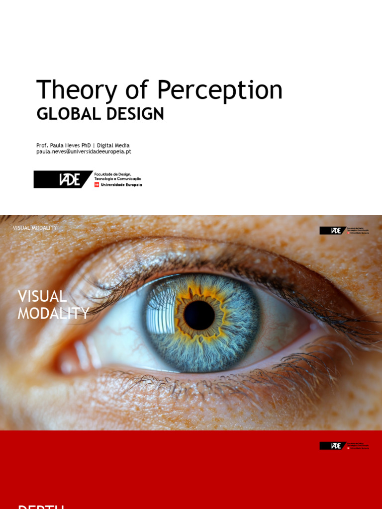 2025 DG PerceptionTheory Visual#Aula04 | PDF | Senses | Mental Processes