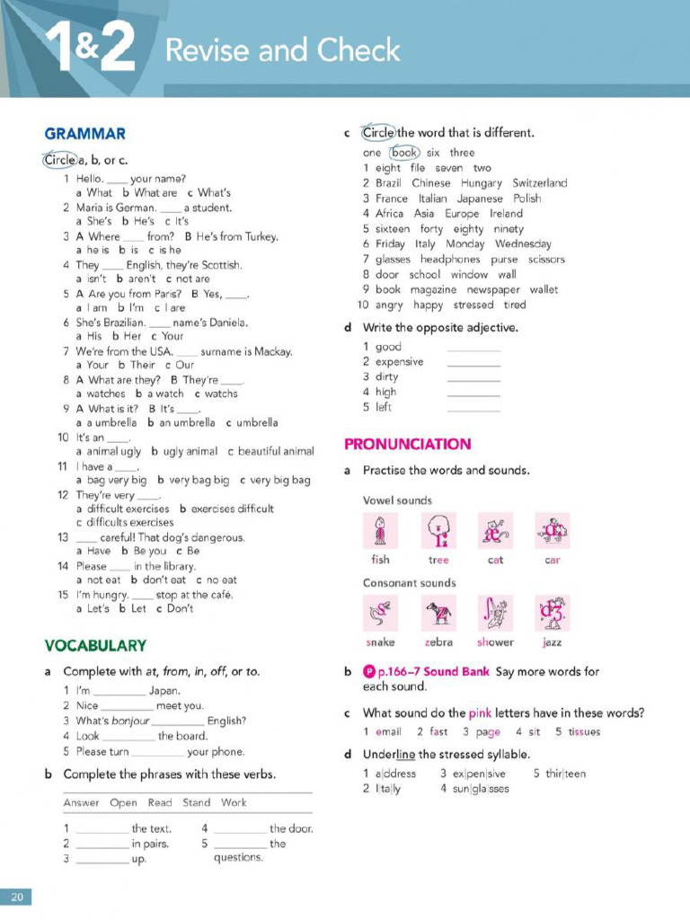 Revise and Check 1-6 | PDF