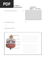Gaseous Exchange Grade 11 | PDF | Breathing | Lung