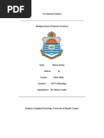 ICF Model Template | PDF