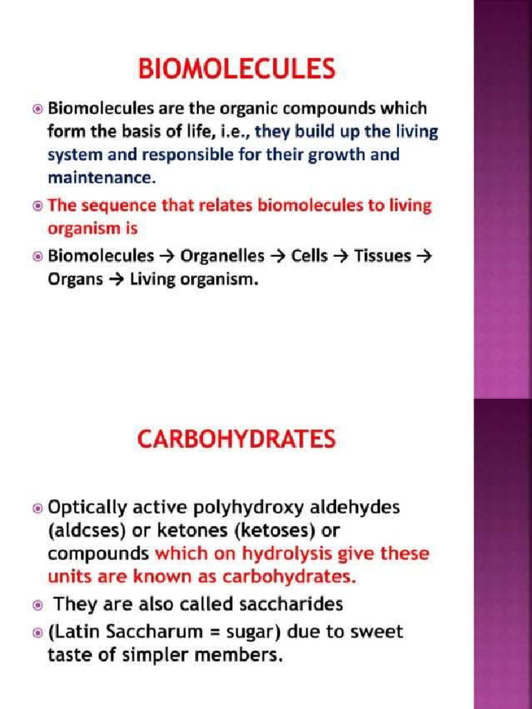 12 Biomolecules | PDF