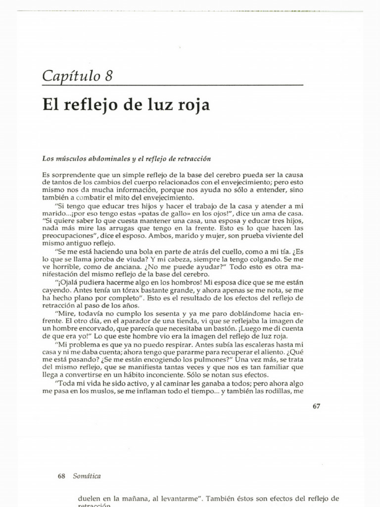 Reflejo de Luz Roja | PDF