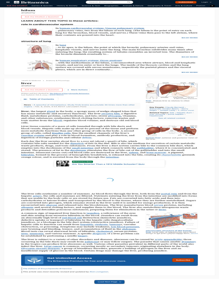 Hilum Anatomy Britannica | PDF | Liver | Lung