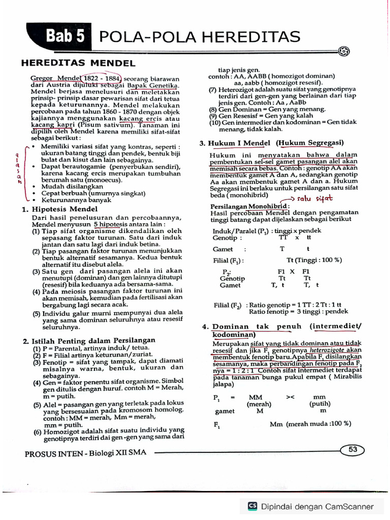 Inten Biologi BAB.5 Pola-Pola Hereditas | PDF