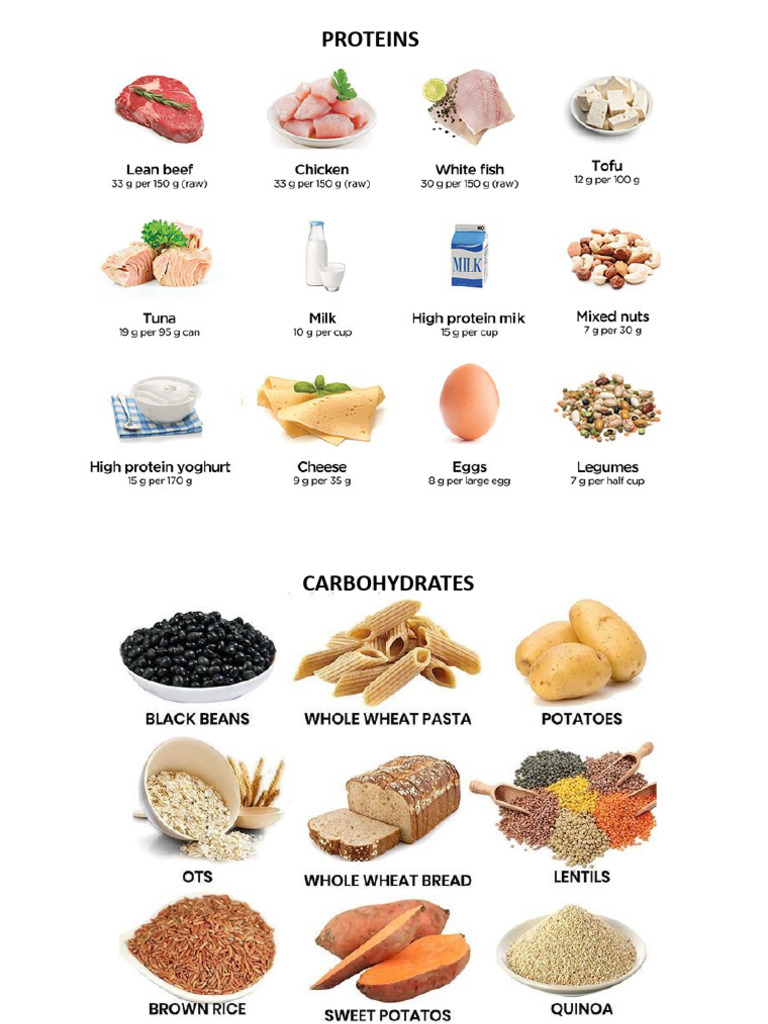 Types of Food | PDF
