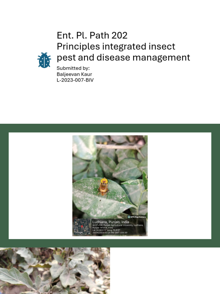 Presentation (2) 2.PDF 2 | PDF