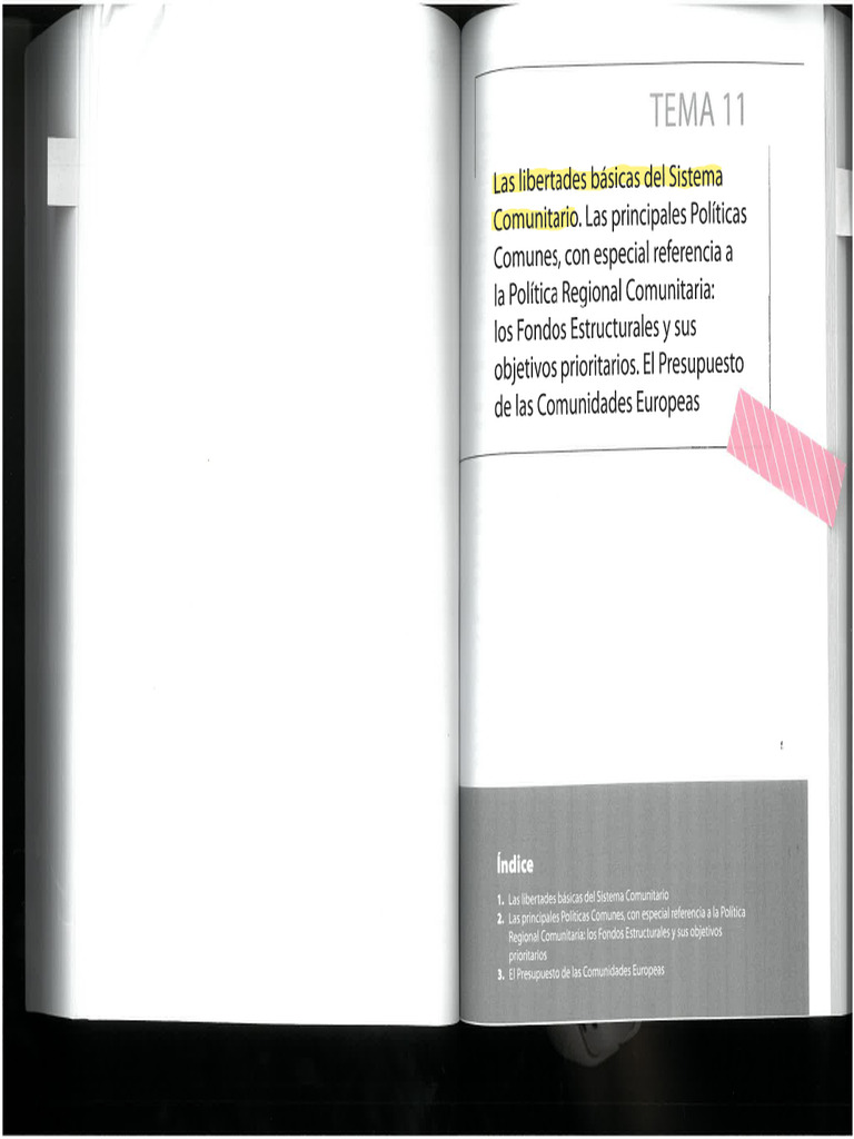 Libertades Basicas | PDF