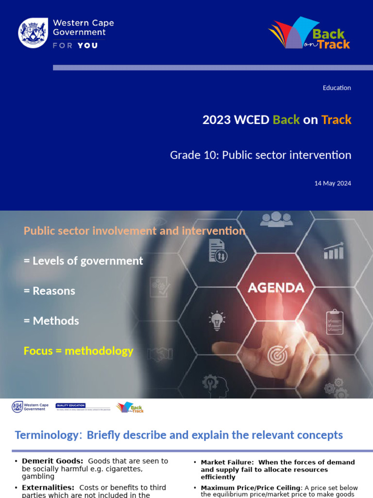 Government Intervention Final Presentation 14 May | PDF | Externality ...
