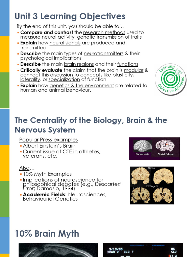 Topic 3A Psychobiology - Brain and Nervous System | PDF | Neuron | Neurotransmitter