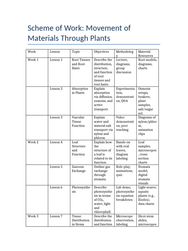Scheme of Work Plant Growth | PDF | Plant Stem | Leaf