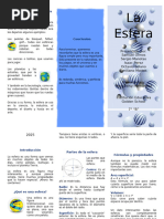 Desarrollo de La Esfera | PDF | Ciencia y matemáticas | Tecnología
