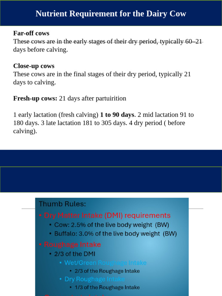 Nutrient Requirement For Dairy Cow | PDF