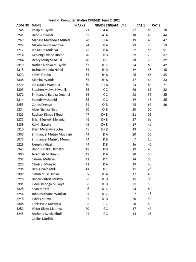Form 4 Computer Studies OPENER Term 2 2025 | PDF