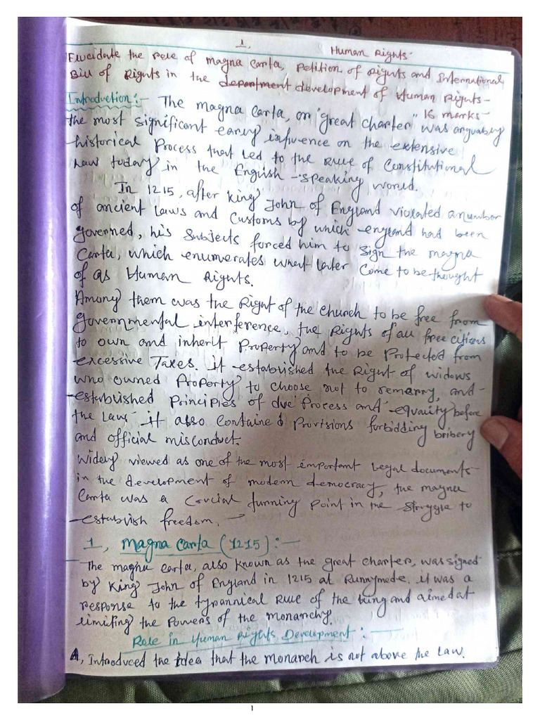 Human Rights Notes | PDF