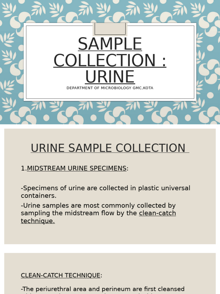 Sample Collection - Urine | PDF
