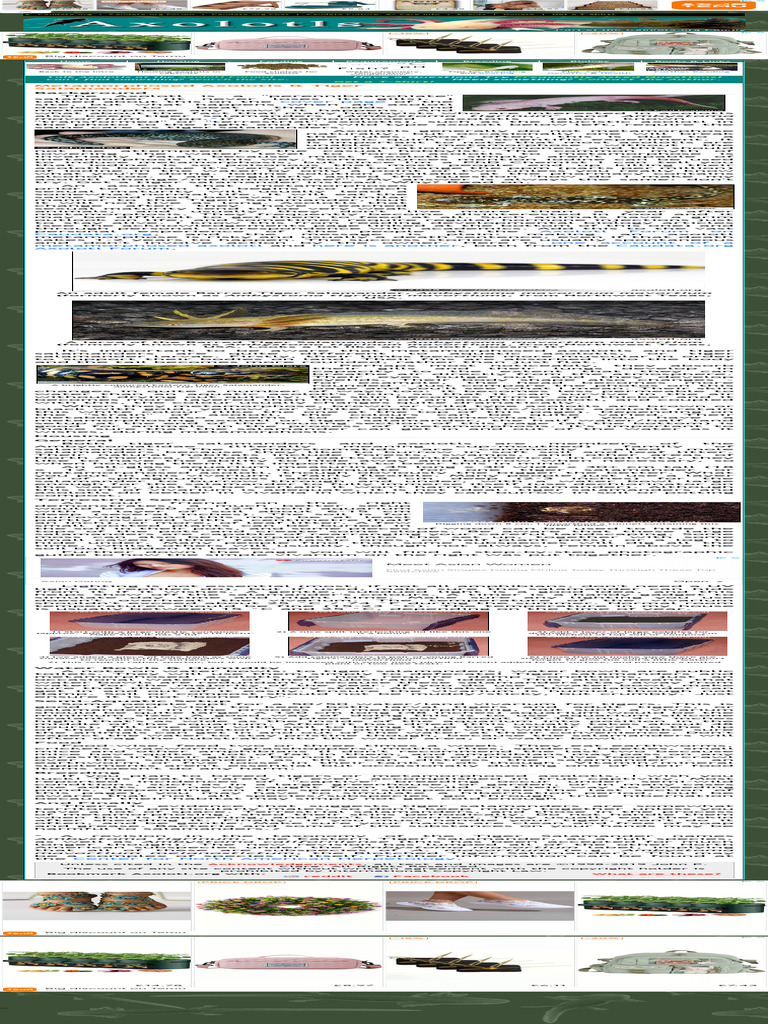 Axolotls - Metamorphosed & Tiger Salamanders | PDF | Vivarium | Aquatic ...